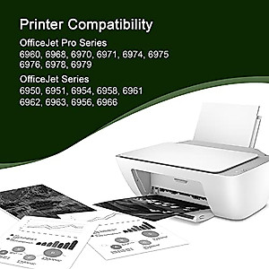 902XL Black Ink Replacement for HP 902XL 902 XL Work with Officejet Pro 6978 6960 6962 6968 6954 6958 6950 6951 6970 Printers (902XL Black Ink Cartridges, 2 Black)