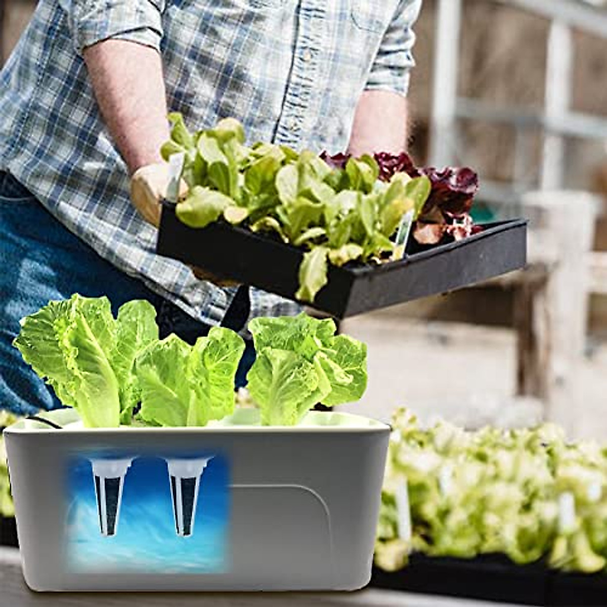 50 Sets Hydroponic Grow Basket, Plant Pod Kit Plant Growing Container with Transparent Insulation Domes, Replacement Grow Baskets, Hydroponic Garden Accessories(Size:4.4x1.3x6.5cm)