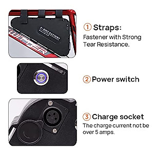 QWW 48V20AH30amp Battery for 100-1200W Ebike with Charge