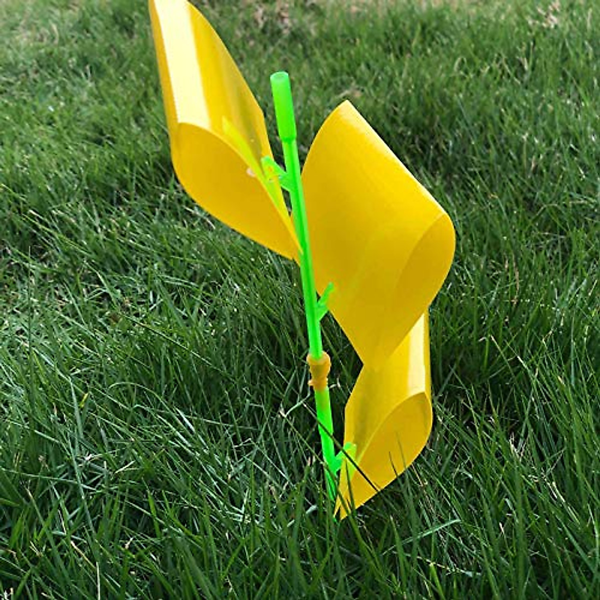 Fly Fruit Indoor Sticky Gnat Stakes Trap 50PCS Patio & Garden 2 Way Glue Broad