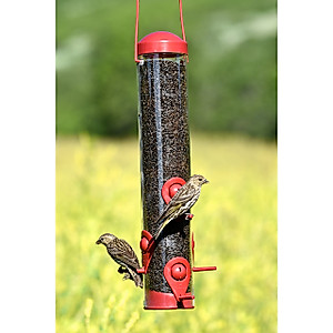 Perky-Pet 3264 Red Wild Bird and Finch Feeder