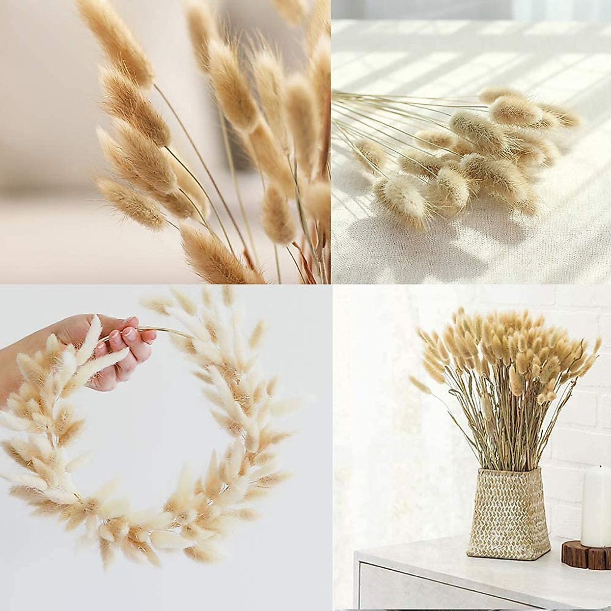 100 Pcs Natural Lagurus Ovatus Rabbit Tail Dried Flowers,17 inch/45 cm Dried Bunny Tails Grass Decor for Home Kitchen Garden Party Photographing Flower Arrangement Vase Decoration