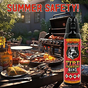 4-in-1 Mini Suppressant - Car Fire Suppressor for Auto-Mobile, Truck, Boat - Home Fire Suppressor for Kitchen - Small Fire Suppressor for Clothing, Batteries - Portable Fire Eliminator - 2 Pack