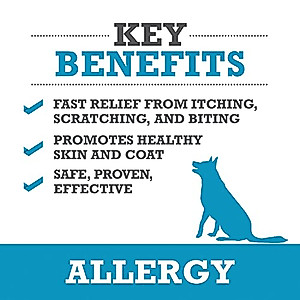 WINPRO Pet Allergy Grain-Free Plasma-Powered Soft Chews, 60 Chews, Natural Blood Protein Supplements for Dogs Providing Relief from Itchy, Irritated Skin, Made in The USA