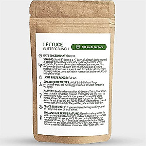 Seedra.US Lettuce Seeds for Indoor and Outdoor Planting - Home Garden - 1200 Seeds - GMO-Free and Heirloom Seeds - 2 Pack