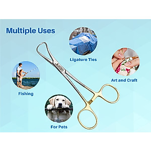 Towel Clamp Backhaus Forceps Gold Plated 3.5" Medical Surgical Instrument ARTMAN Set of Three (3)