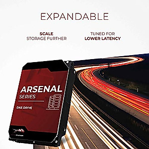 Water Panther WP Arsenal 16TB SATA 7200RPM 3.5-Inch DAS Hard Drive (Renewed)