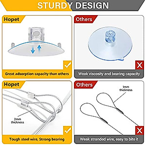 Cat Window Perch, Large Cat Hammock Bed w/Free Blanket Strong Suction Cups, Window Cat Bed Safety Sturdy for Indoor Two Large Cats or Kittens Resting Seat