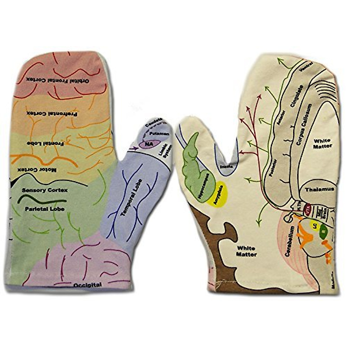 Handy Brain Model B-2 (large)