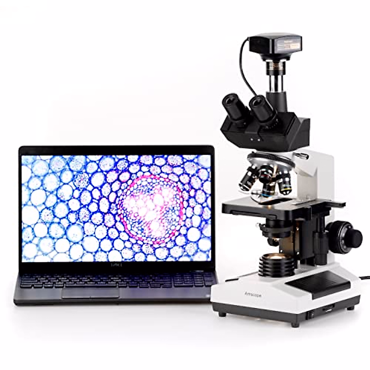 AmScope T390B-3M Digital Professional Compound Trinocular Microscope, 40X-2000X Magnification, WF10x and WF20x Eyepieces, Brightfield, Halogen Illumination, Abbe Condenser, Double-Layer Mechanical Stage, 110V-220V Auto-Switching, Includes 3MP Camera with