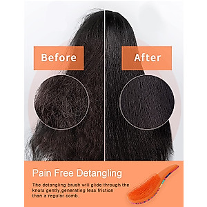 Detangling Hairbrush and Comb Set - Detangling Brush for Wet, Dry, Curly, Women & Kids Hair with Wide Tooth Comb and 3 Alligator Styling Sectioning Clips of Professional Hair Salon Quality (Tropica Plants)