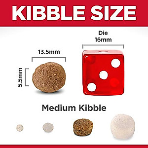 Hill's Science Diet Dry Dog Food, Puppy, Large Breeds, Chicken Meal and Oats Recipe, 30 lb. Bag