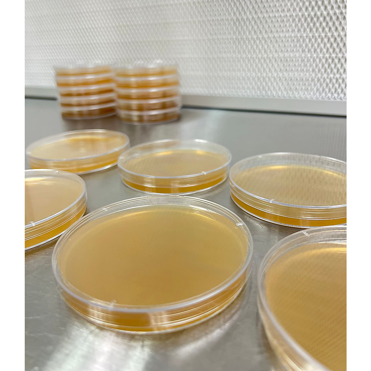 Olympus Myco Malt Yeast Extract Agar Plates (MYA) - 10 Sterile Prepoured Petri Dishes for Mushroom Cultivation & Science Projects - Now with Improved Packaging