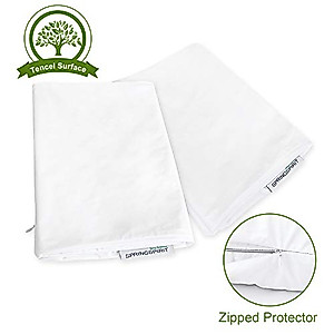Pillow Protectors Pillow Cases Queen 2 Pack 100% Waterproof Tencel Silk Soft & Skin Friendly with Hidden Zipper Encasement Covers for Queen Size Pillows, Machine Washable