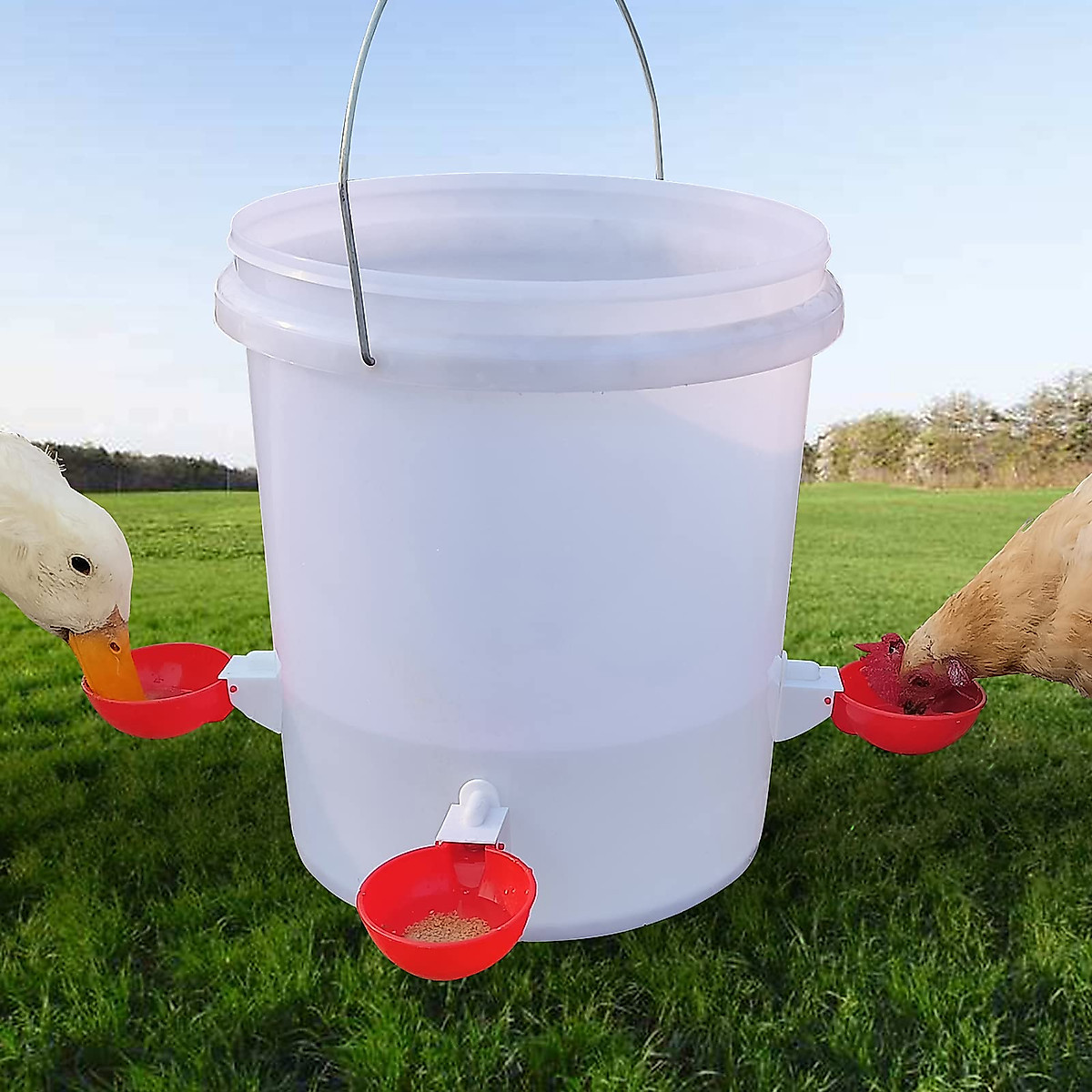 Chicken Water Cups, Automatic Chicken Waterer Cup 6PCS, Chicken Feeding Cup 2PCS, Poultry Watering Cups, Chicken Waterer Cup Kit Suitable for Chicken Duck Turkey Rabbit.