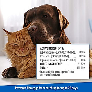 Adams Plus Flea & Tick Shampoo with Precor for Cats, Kittens, Dogs & Puppies Over 12 Weeks Of Age Sensitive Skin Flea Treatment | Kills Adult Fleas, Flea Eggs, Ticks, and Lice
