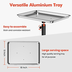 TASALON Budget Salon Tray on Wheels, Adjustable Height Premium Aluminum Tattoo Rolling Tray, Beauty Instrument Salon Rolling Tray Table with Wheels, Salon Cart for Hair Stylist Medical Dental Tray