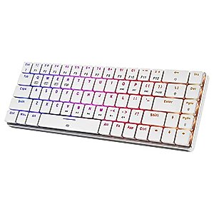 HUO JI 60% Compact RGB Wireless Mechanical Gaming Keyboard, Blue Switches, Bluetooth 5.0, Wired Keyboard 69 Keys for PC Tablet Laptop Cell Phone, White