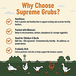 Supreme Grubs Natural Black Soldier Fly Larvae for Chickens, 85X More Calcium Than Mealworms-High Protein Grub Food Chicken Treats for Hens, Probiotic-Rich Chicken Feed, Calcium-Dense Bird Treat 5lb