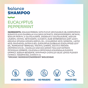 Seaweed Bath Co. Balance Shampoo, Eucalyptus Peppermint Scent, 12 Ounce, Sustainably Harvested Seaweed, Pro Vitamin B5, For Normal to Oily Hair
