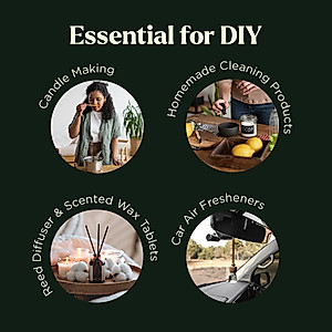 Fragrance Oil Set - Premium Grade 10 Pcs Scented Oils for Candle Making, Soap Scents, Aroma Beads, Bath Bombs, Perfume & Flavoring Oil for Lip Gloss - Organic Essential Oils with Fruity Scents (10ml)