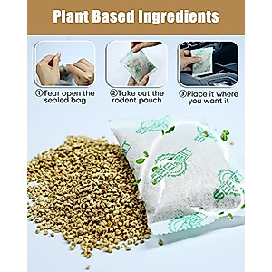 SEEKBIT Squirrel Repellent, Squirrel Deterrent Peppermint Oil to Repels Squirre Mouse Rodent, Natural Squirrel Deterrent Yard Garage, 10 Pack