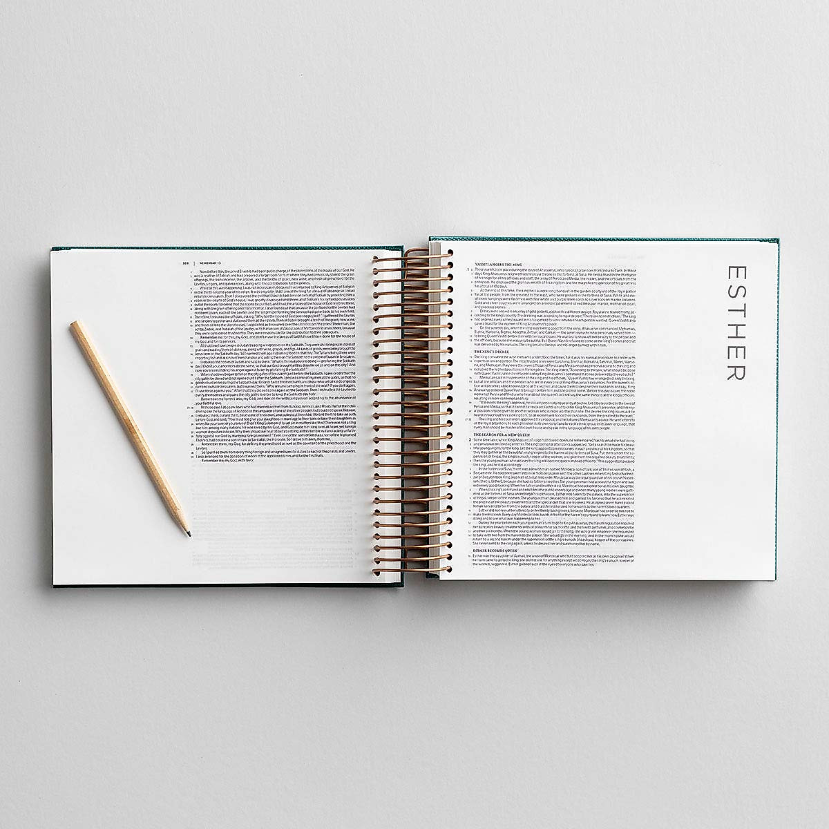 Illustrating Bible CSB Green (Spiral Bound Journaling Bible)