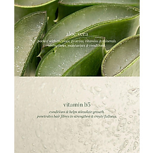 Ere Perez - Natural Aloe Gel Lash + Brow Mascara | Vegan, Cruelty-Free, Clean Beauty (Clear, 0.35 oz | 10 ml)