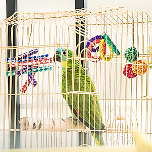 Hiboom 200 Pcs Bird Toys with 100 Finger Traps 60 Rattan Balls Parrot Wicker Balls and 40 Bird Vine Rings, Cockatiel Toys Parakeet Chewing Toys Pet Cage Toys for Budgies, Cockatoos, Parakeets