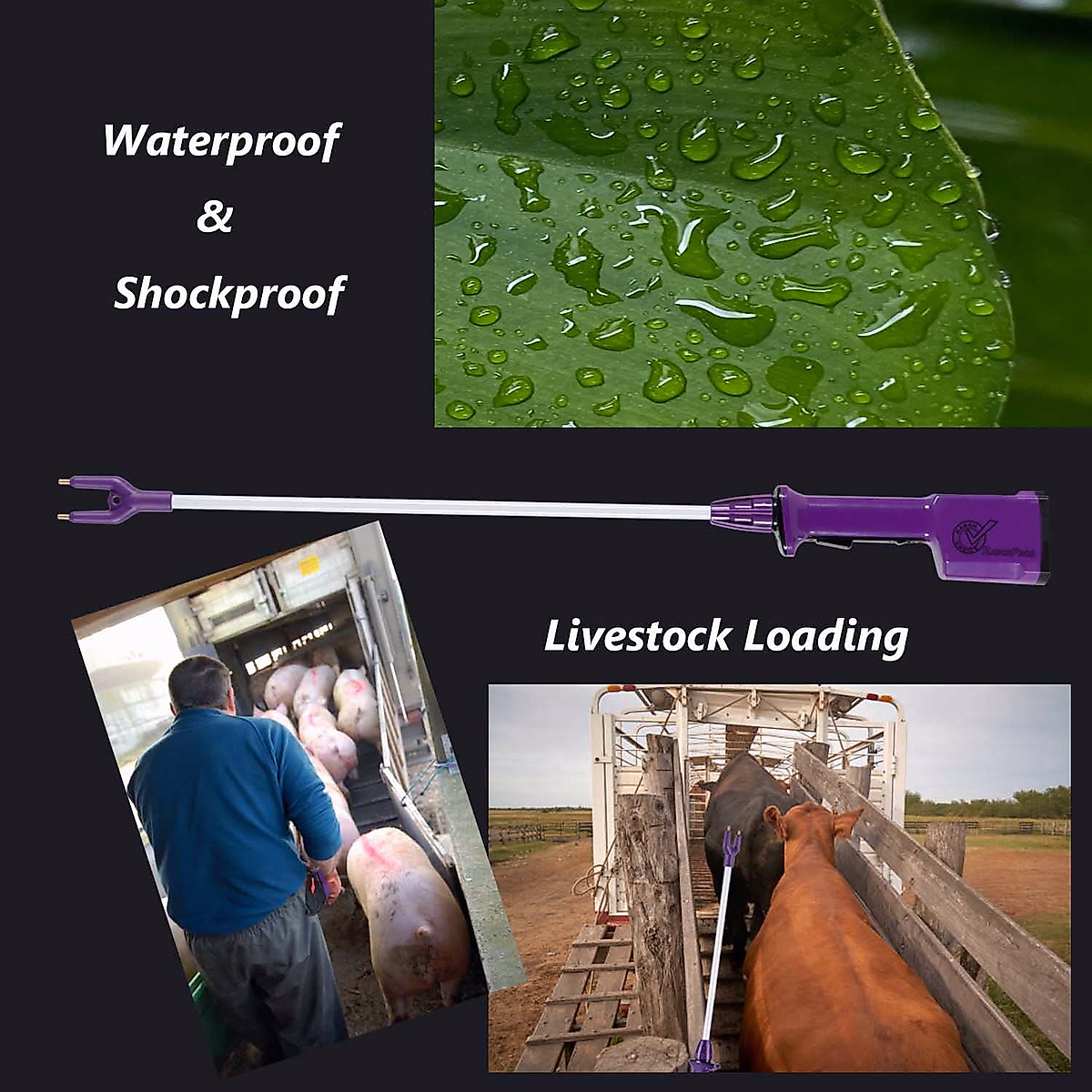 RANCH CHOICE Purple Rechargeable Livestock Prod Waterproof Cattle prod with 28" Flexible Shaft (38 1/2 inch)