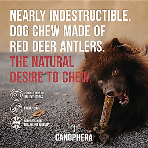 Canophera All-Natural Split Red Deer Antlers – Long-Lasting, Sustainably Sourced Dog Chews – Available in 5 Sizes, Odor-Free, Supports Dental Health – Ideal for Power Chewers - Xtra Small
