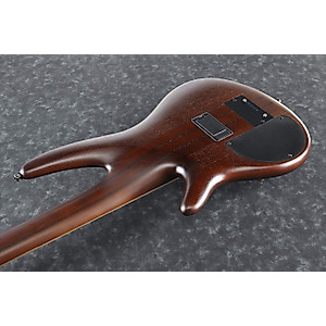 Ibanez SR Bass Workshop 5-String Electric Bass (Brown Burst Flat)
