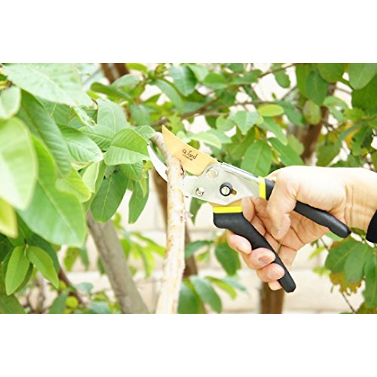 Q-yard QY-731L Traditional Bypass Pruning 8.5" Titanium Blade- Handheld Gardening Tools Shears