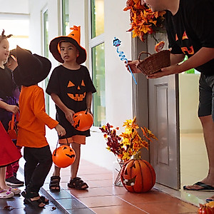 24 Pcs Halloween Party Favors Halloween Straws Reusable Plastic Crazy Straws Bats Pumpkin Cat Ghost Straws with 2 Cleaning Brush for Kids Halloween Party Supplies Birthday Decoration, 8 Styles