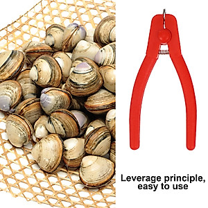 Yardwe 2Pcs Clam Opener Multi- Function Beer Clam Opener Shell Opener Shellfish Seafood Opener Tool for Restaurant Party Picnic Party Supplies