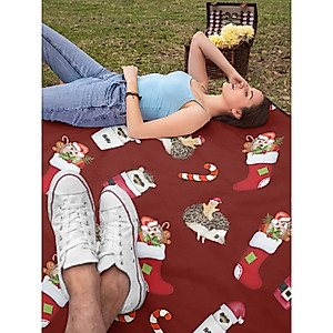 Christmas Hedgehog Blanket Gifts for Boys Girls, Cute Christmas Throw Blanket Gifts for Baby Cookie Candy Decor Plush Soft Lightweight Flannel Fleece Christmas Tree Blankets for Toddler Pet 40x30In