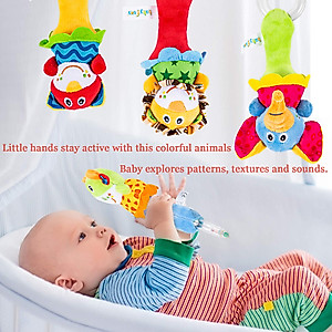 4 Plush Baby Soft Rattle Toys,Fabric Ring Rattles Shaker,Infant Handbells Early Development Hand Grab Sensory Toys,Stuffed Animal for 6 9 12 Months and Newborn Toddler Boy Girl Birthday Gifts