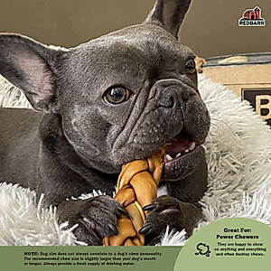 Recbarn Natural 12" Beef Collagen Braids - Case of 20 Sticks - Long Lasting Low-Odor Alternative to Rawhide & Bully Sticks -Single Ingredient Chew for Medium Large Dogs