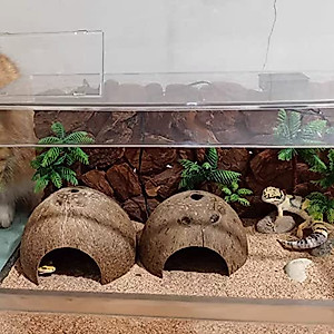 Hamiledyi Reptile Hideouts Natural Coconut Shells Hut Small Animal Hide Cave Hermit Crab Climbing Toys Lizard Habitat Decor Plant Leaves Decoration for Gecko Spider Snake Chameleon (4Pcs)