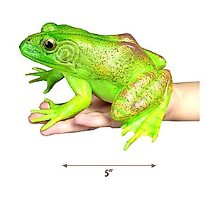 Gemini & Genius Tree Frog Realistic Hand Painted Toy Bullfrog Figurine Model Quality Construction Soft Rubber Animals Educational and Role Play Toys for Ages 3 and Up Kids