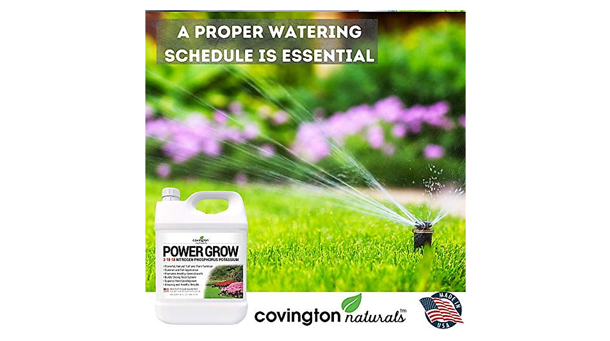 Premium Liquid Lawn Fertilizer 3-18-18 for All Grass Types
