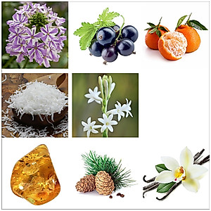 Rachel Zoe Fearless Eau De Parfum Spray - Gourmand Fragrance Body Spray for Women - Vanilla And Tuberose Musk - Designer Womens Perfume - 3.4 oz