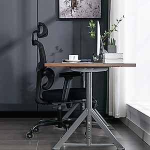 DOXACEF Ergonomic Office Chair with Footrest Lumbar Support High Back Desk Chair Mesh Computer Chair with Adjustable 3D Armrest Breathable for Adults Reclining Chair (Black)