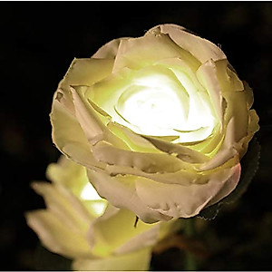 HDNICEZM Solar Garden Lights Outdoor Decorative - 2 Pack Upgraded Realistic 5 Rose Flowers Lights LED Solar Stake Lights Waterproof for Garden Backyard Patio Pathway Courtyard Decoration (White)