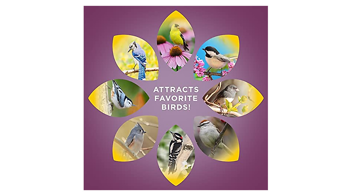 Audubon Park Nut & Fruit Snack Stack Wild Bird Food, Bird Seed Cake for ...