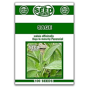 Sage Seeds - 100 Non-GMO Seeds, Garden Seeds, Herb Seeds, The Seed Plant