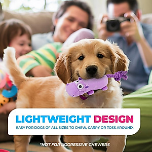 ALL FOR PAWS Ultrasonic Silent Squeaker Dog Toy, Quiet Puppy Toy Comfort Plush Toy Dog Cuddle Toys, Squeakerless Dog Toy with Cute Animal Designs, Ideal for Home and Office