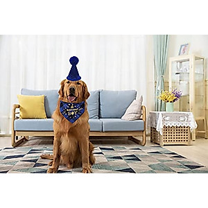 AULEGE Adorable Hat and Bandana Square Scarf for Dog Birthdays, Boy Dog Birthday Crown Hat for Small Medium Large Dog, Birthday Outfit and Decoration Supply Set, Royal Blue