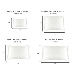 MYK 100% Natural Mulberry Silk Pillowcase, Luxurious 25 Momme for Hair and Skin Care, Oeko-TEX, Queen Size, Ivory, 1pc