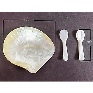 Caviar serving set - Caviar Spoons - Mother of Pearl Spoon Set with Gift Box Packaging - Serving Caviar Eggs and Dessert